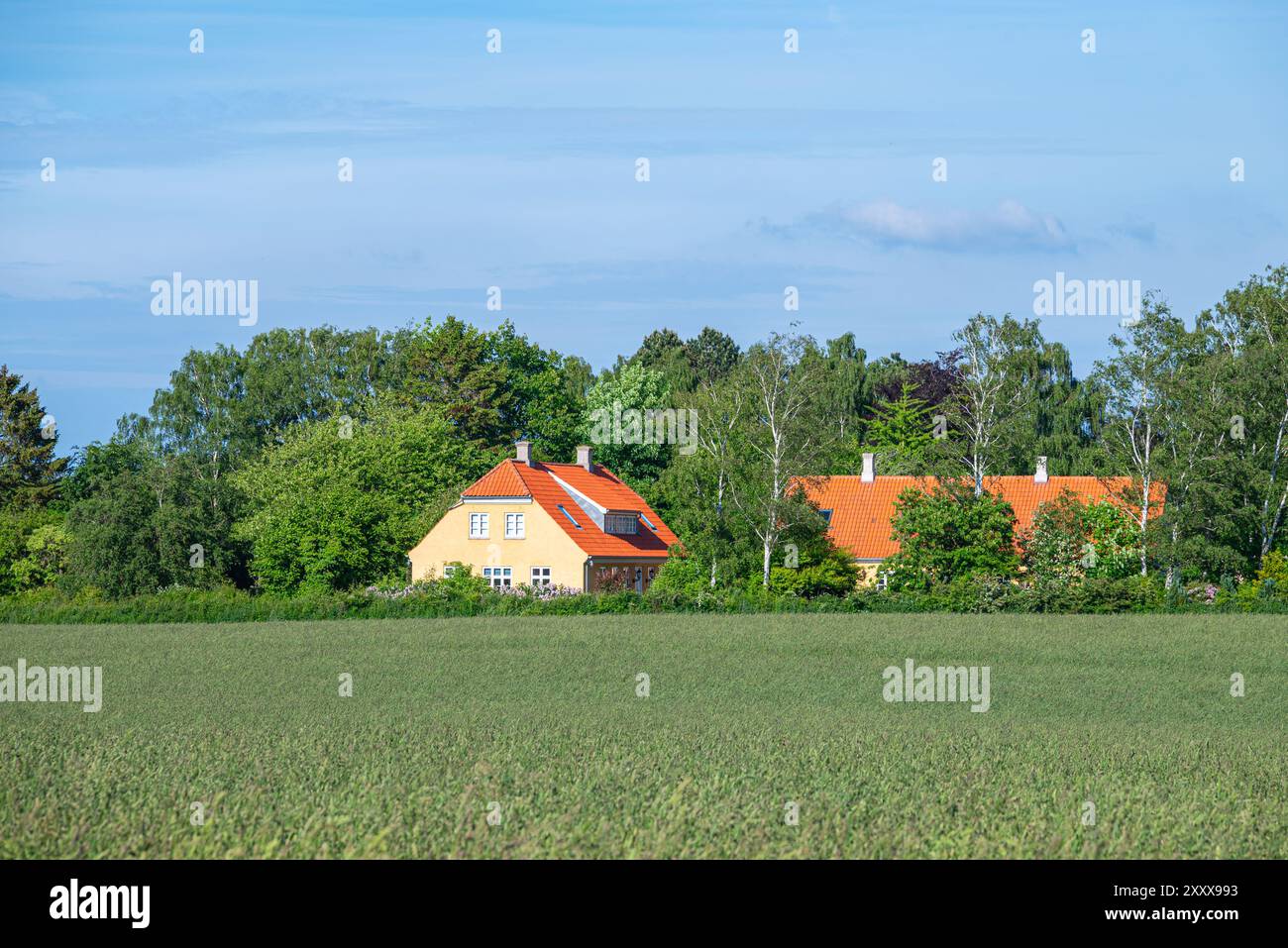 View over agricultural field towards village of Stensby in Denmark ...