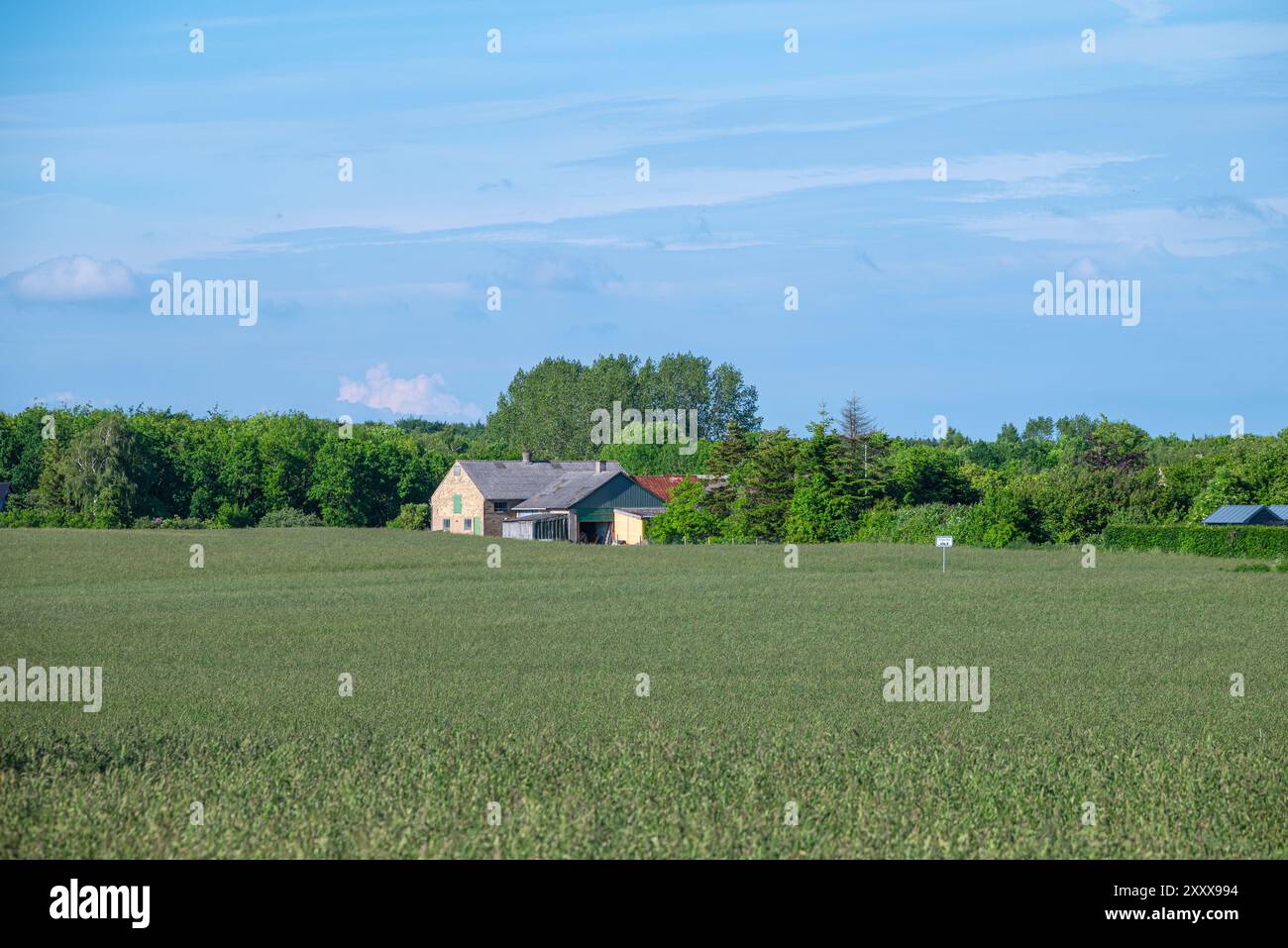 View over agricultural field towards village of Stensby in Denmark ...