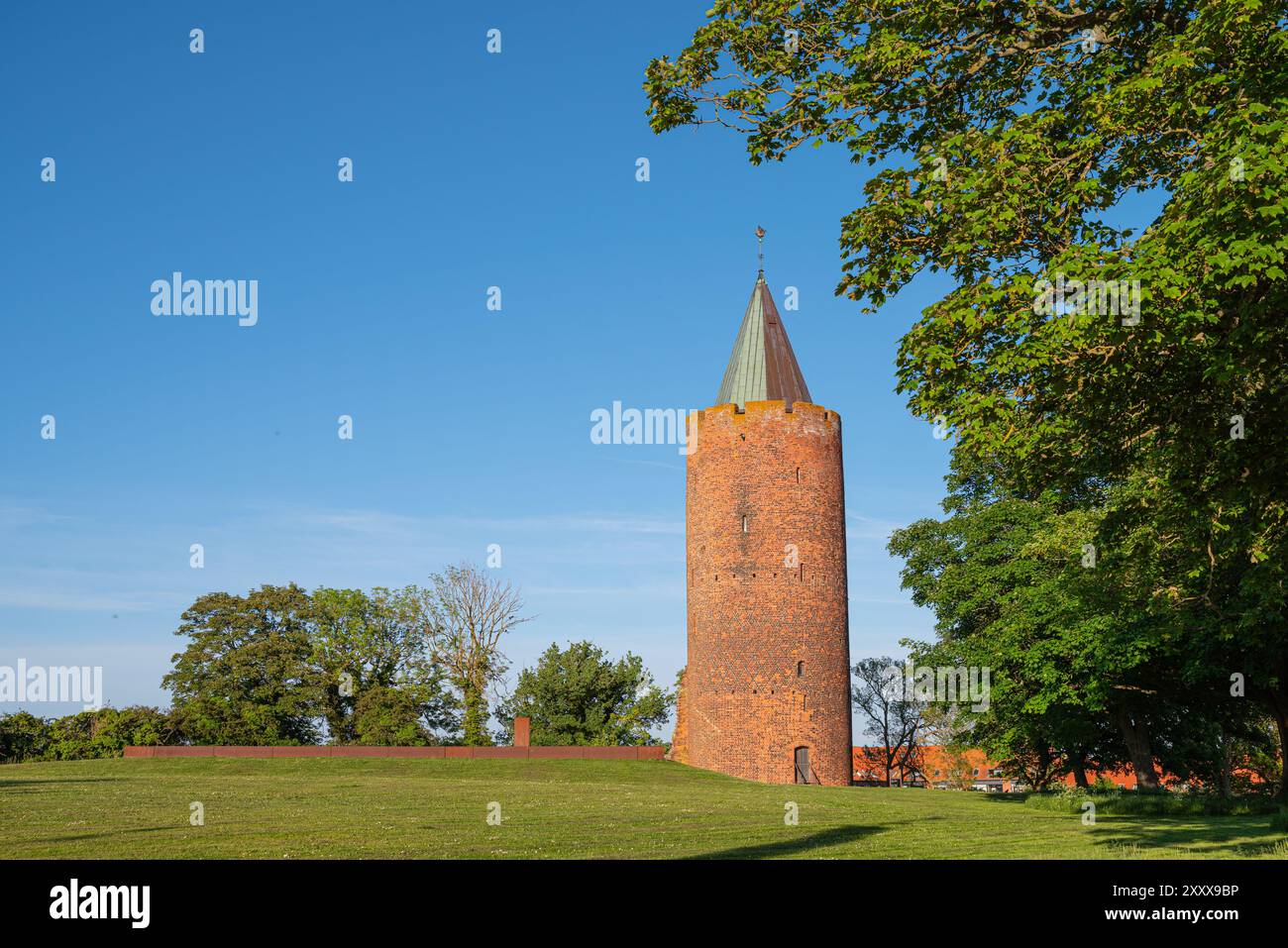 The Goose tower, a historical landmark in town of Vordingborg in ...