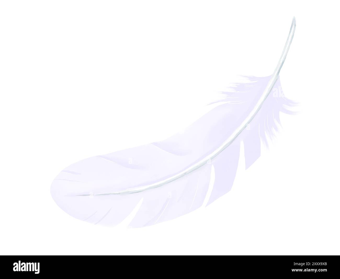 Pale lilac, violet feather isolated on a white background, watercolor ...