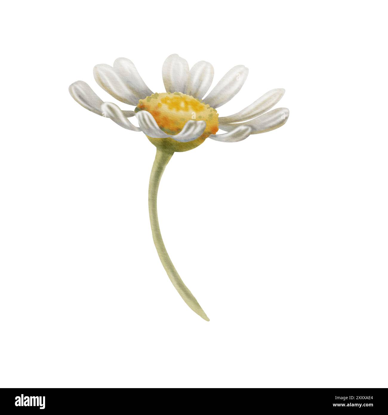 Delicate floral patterns in yellow Cut Out Stock Images & Pictures - Alamy