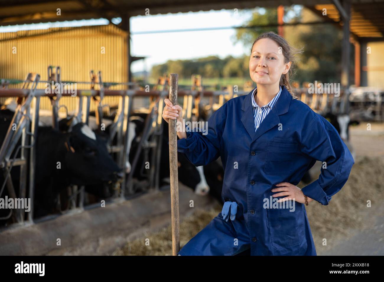 Cheerful woman posing in cowshed on farm breeding dairy cows Stock ...