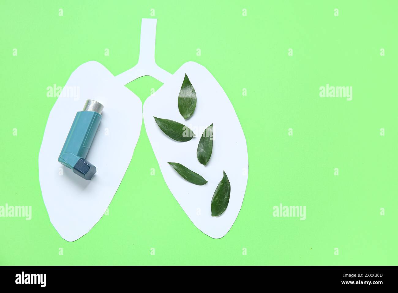 Paper lungs with leaves and asthma inhaler on green background Stock ...