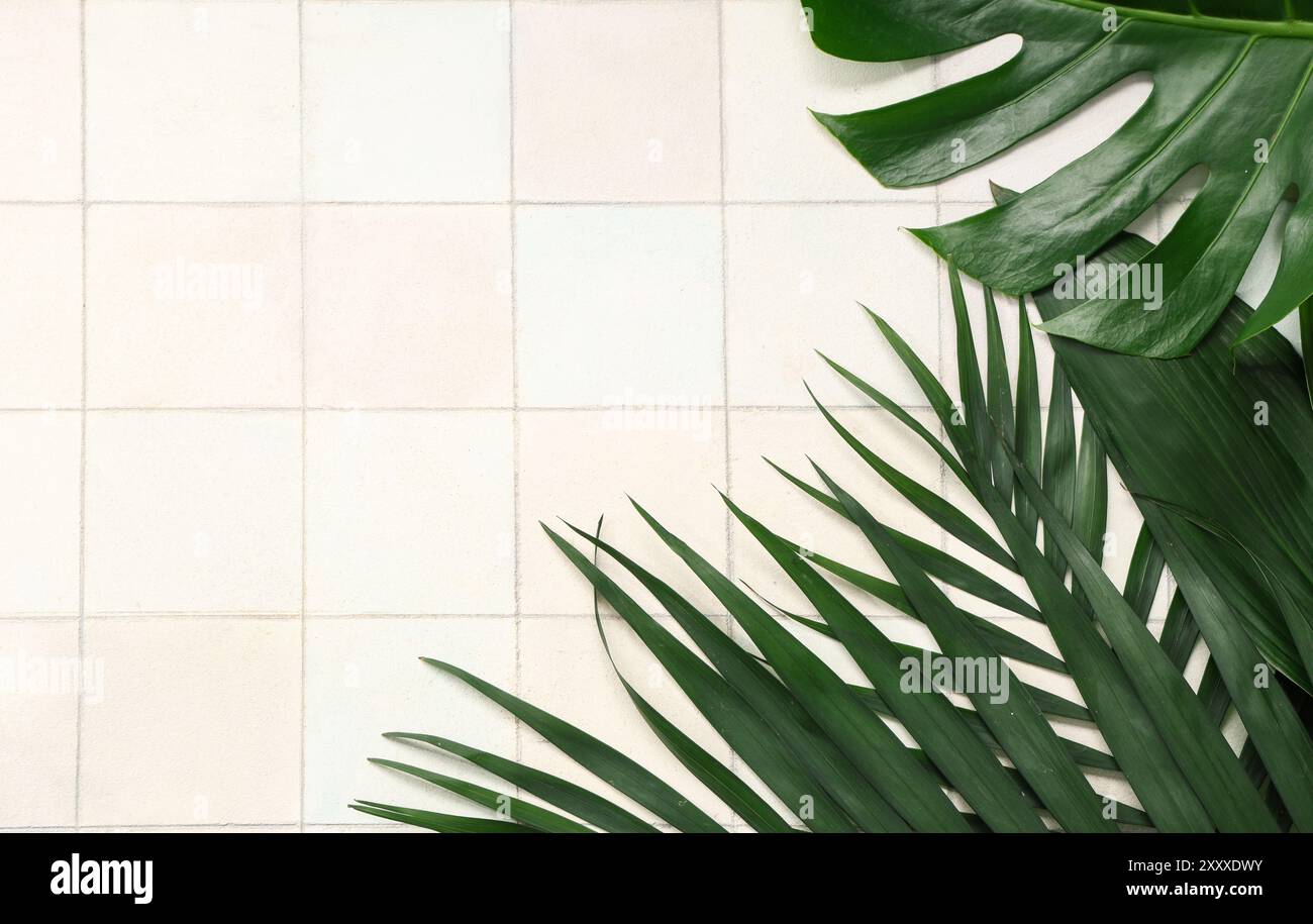 Different green tropical leaves on white tile background Stock Photo ...