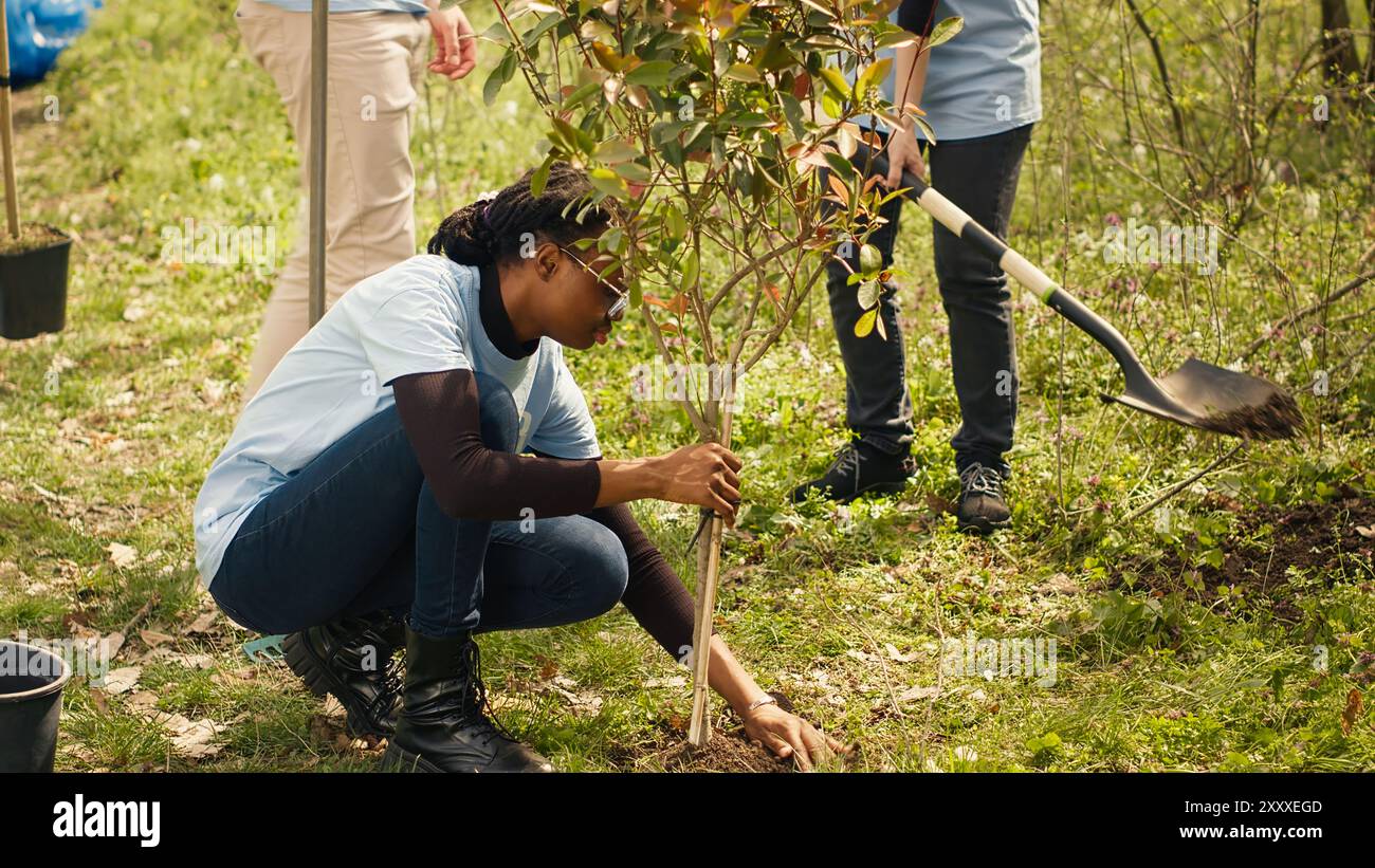 Diverse climate change activists work to plant trees in the woods ...