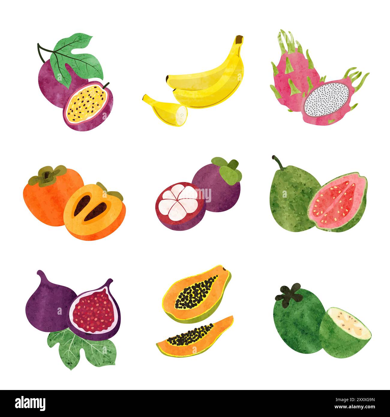 Tropical fruits big set. Vector watercolor illustration Stock Vector ...