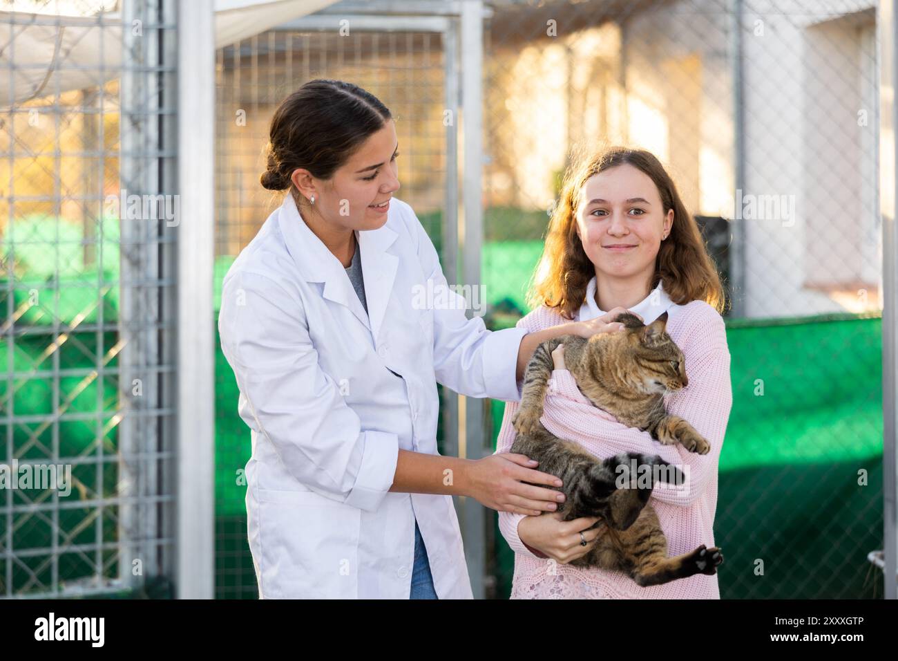 Tween girl with gray tomcat standing outdoor in animal shelter Stock ...