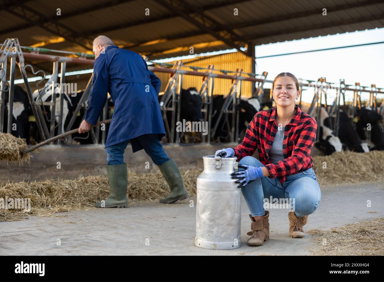 Female farmer with large metallic milk can in hangar with cows Stock ...