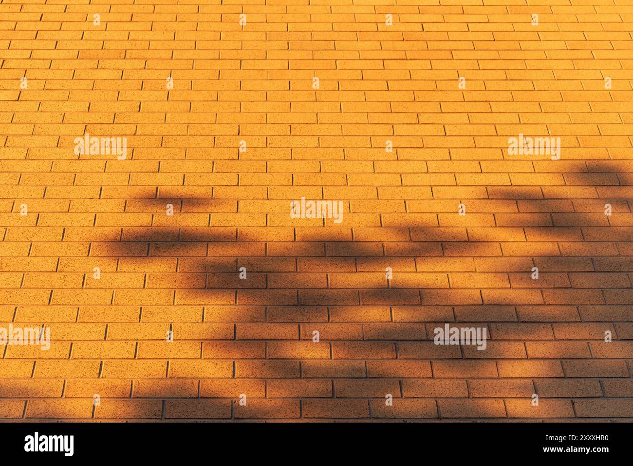 Tree foliage shadows on bright tan brickwork Stock Photo - Alamy
