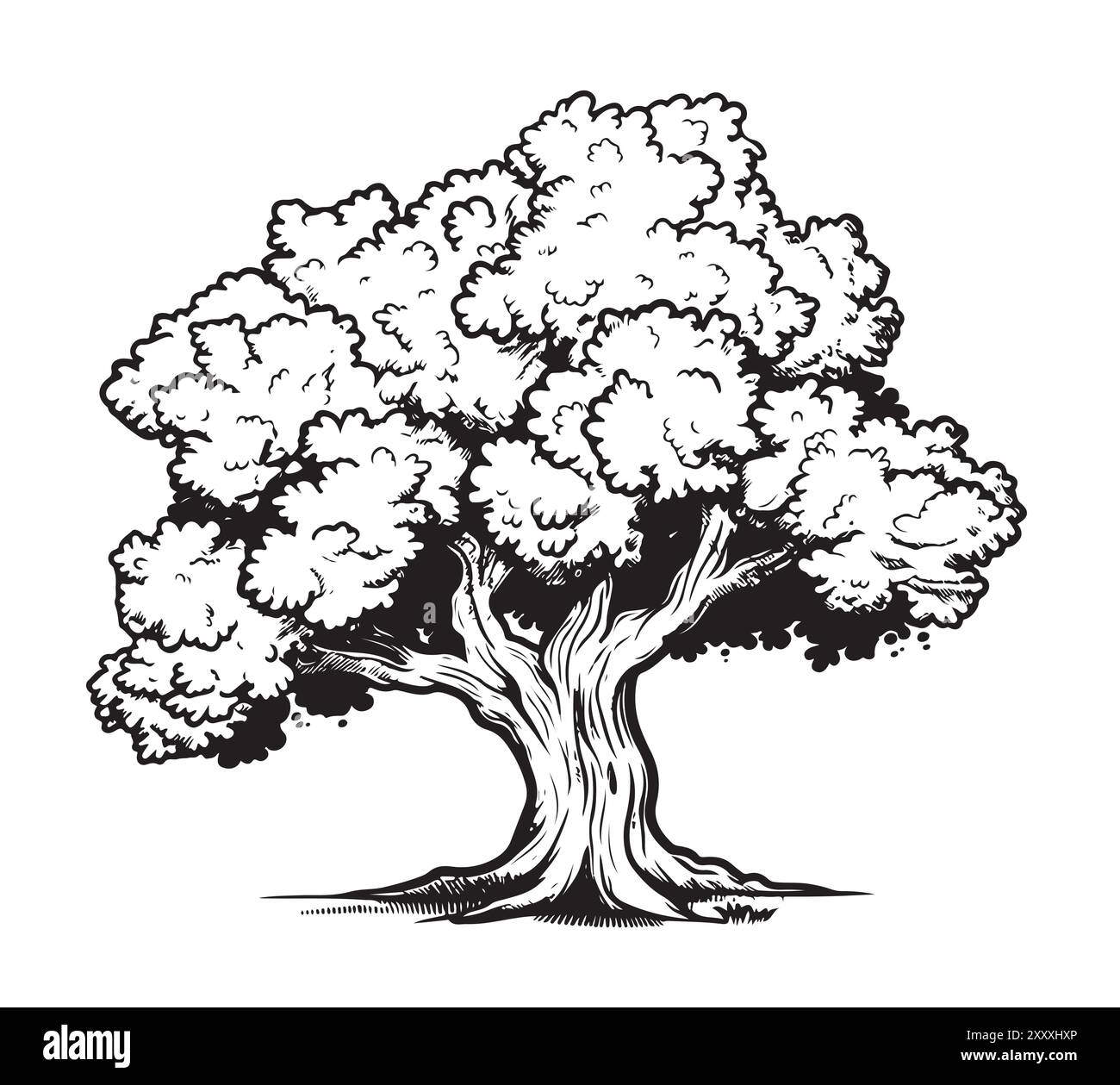 Oak tree ink sketch. Hand drawn vintage style illustration isolated on ...