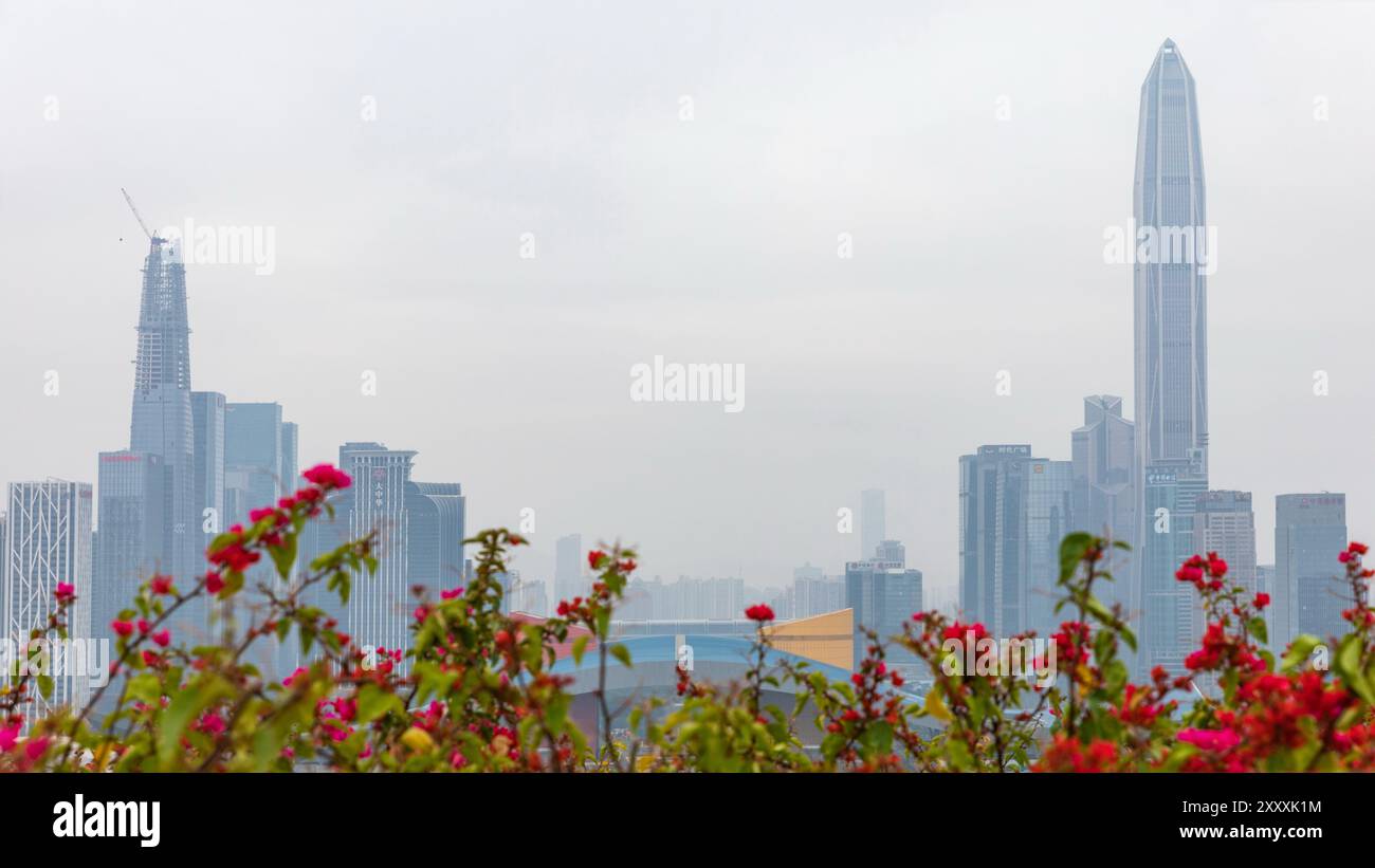 SHENZHEN, CHINA - DECEMBER 28, 2019 - A view of the high-rise buildings ...