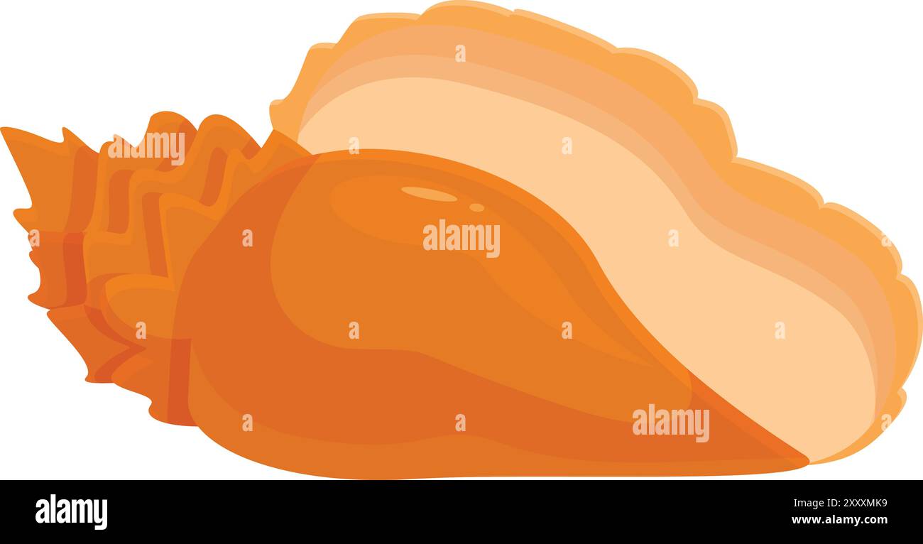 Orange seashell with a textured surface is lying on a white background ...