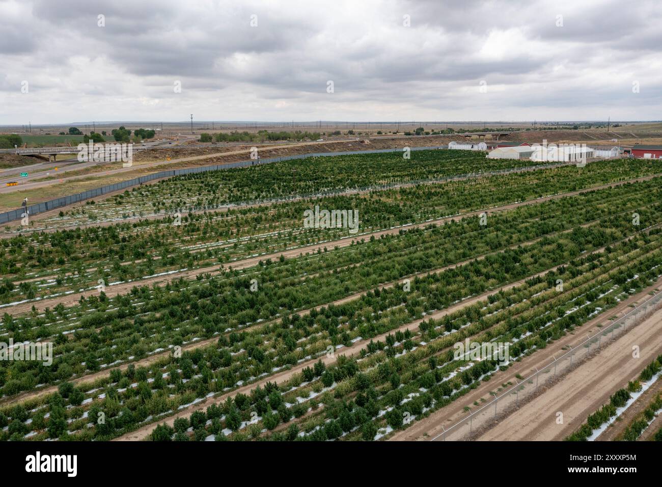 Los suenos farms hi-res stock photography and images - Alamy