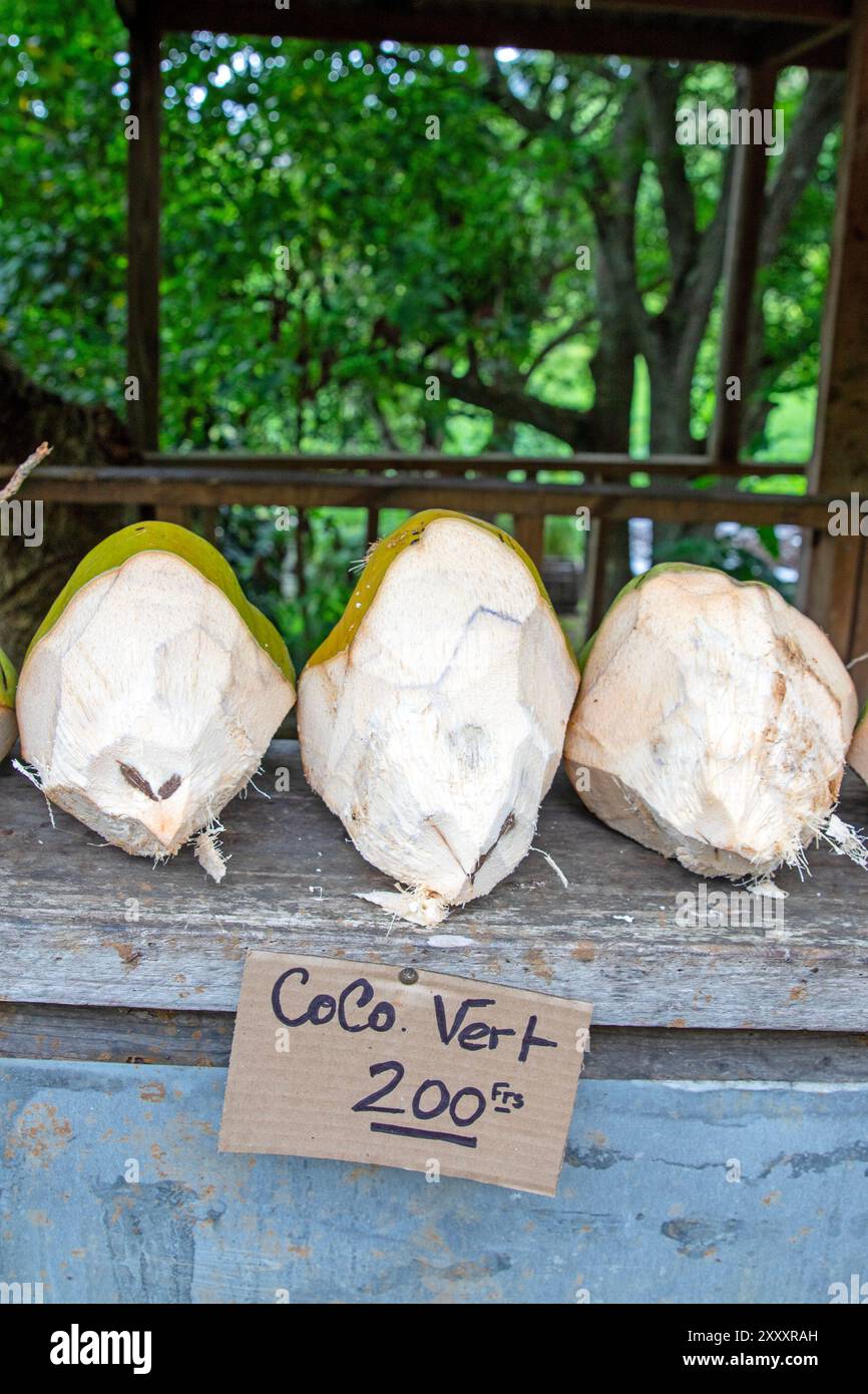 Coco vert hi-res stock photography and images - Alamy