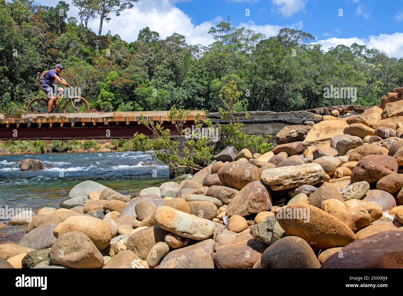Cycling across Pont Germain in Blue River Provincial Park Stock Photo ...