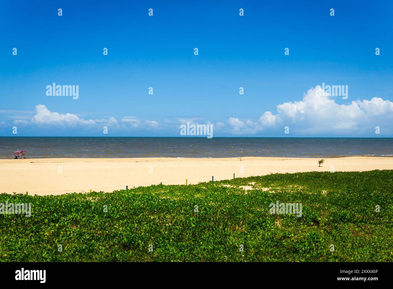 Sunny day at Guaratiba Beach with blue sky and view of the ocean in ...