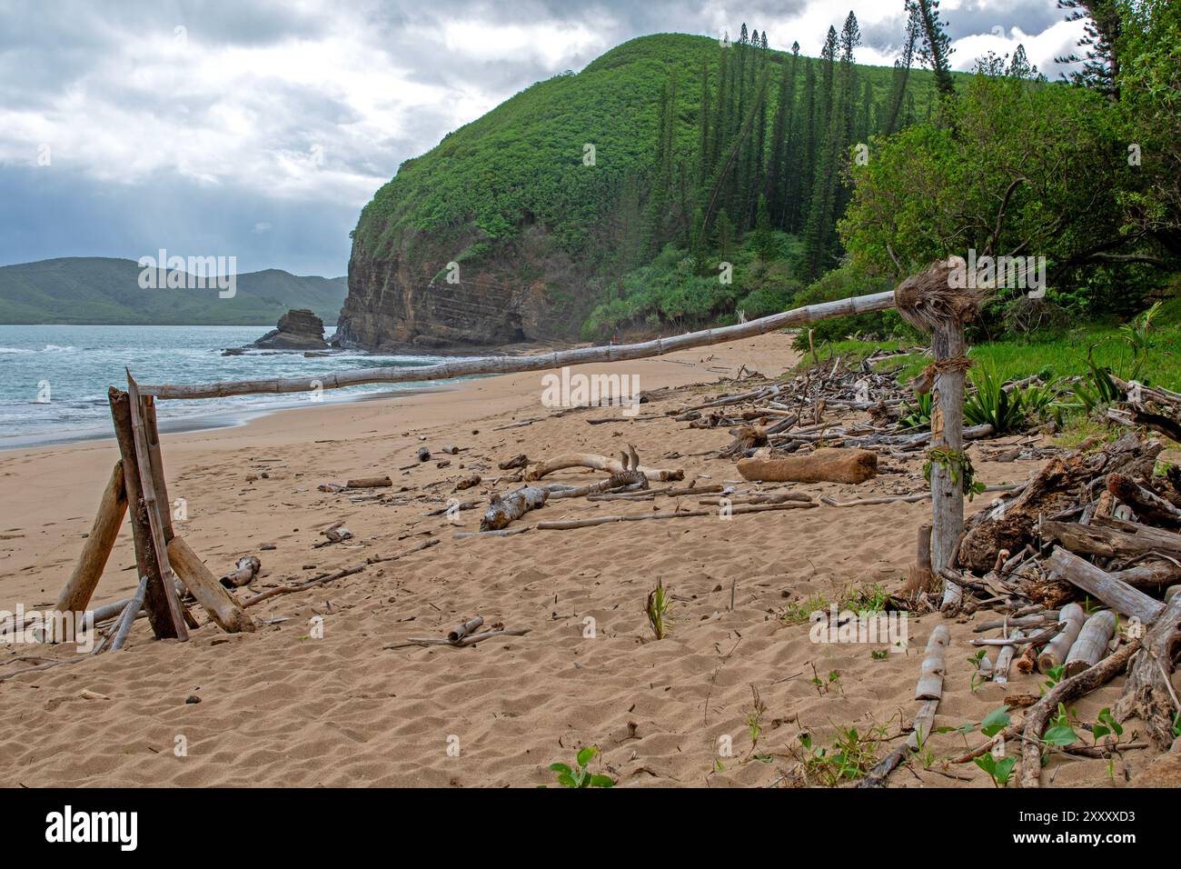 Turtle bay hi-res stock photography and images - Alamy