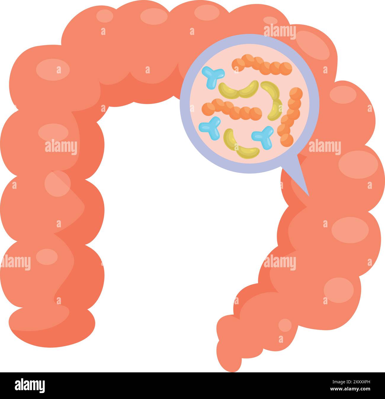 Cartoon style icon of a healthy large intestine with various good ...
