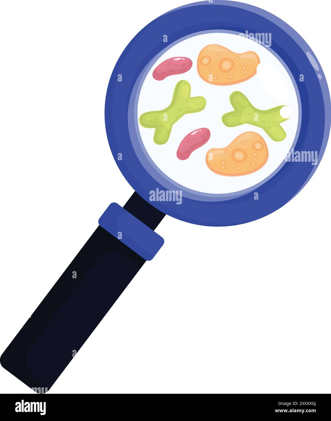 Study bacteria magnifying glass hi-res stock photography and images - Alamy