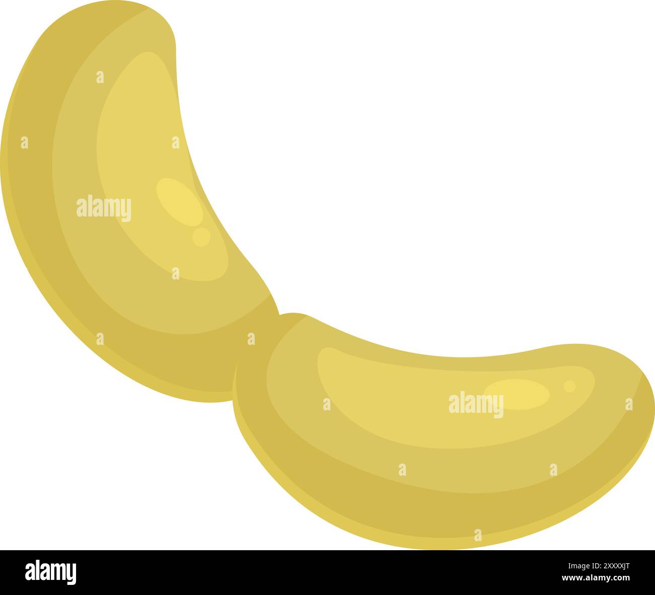 Simple vector illustration of two cashew nuts lying on top of each ...