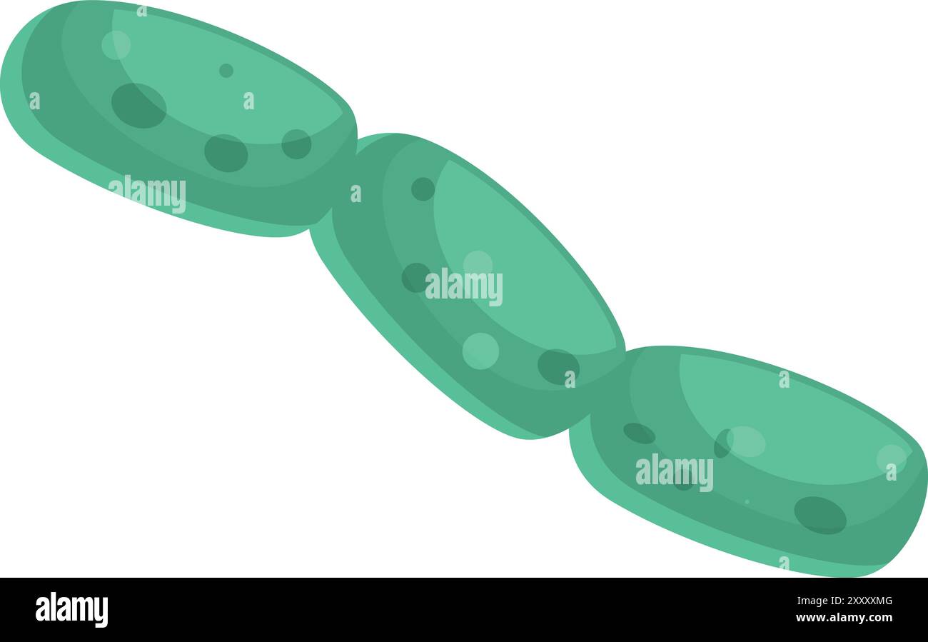 Illustration of green streptococcus bacteria forming a chain through ...