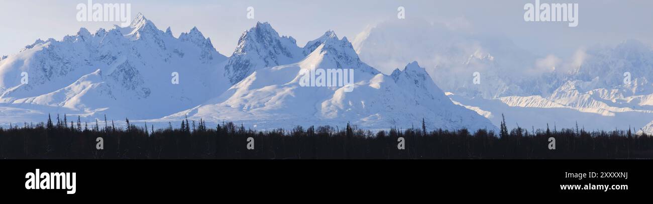 Denali trails hi-res stock photography and images - Alamy