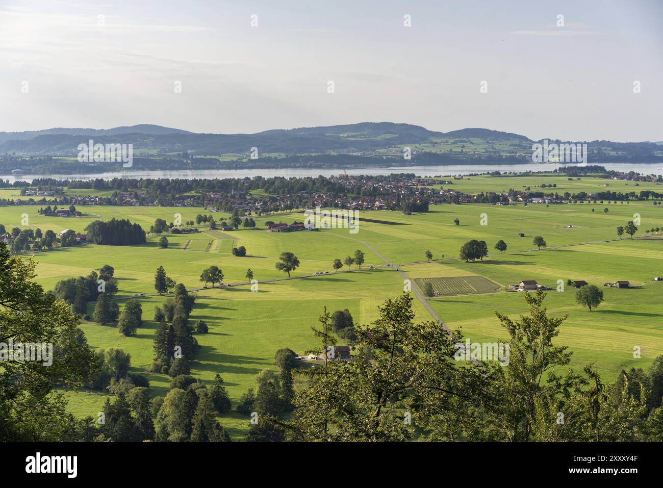 Neuschwanstein castle forggensee fuessen hi-res stock photography and ...