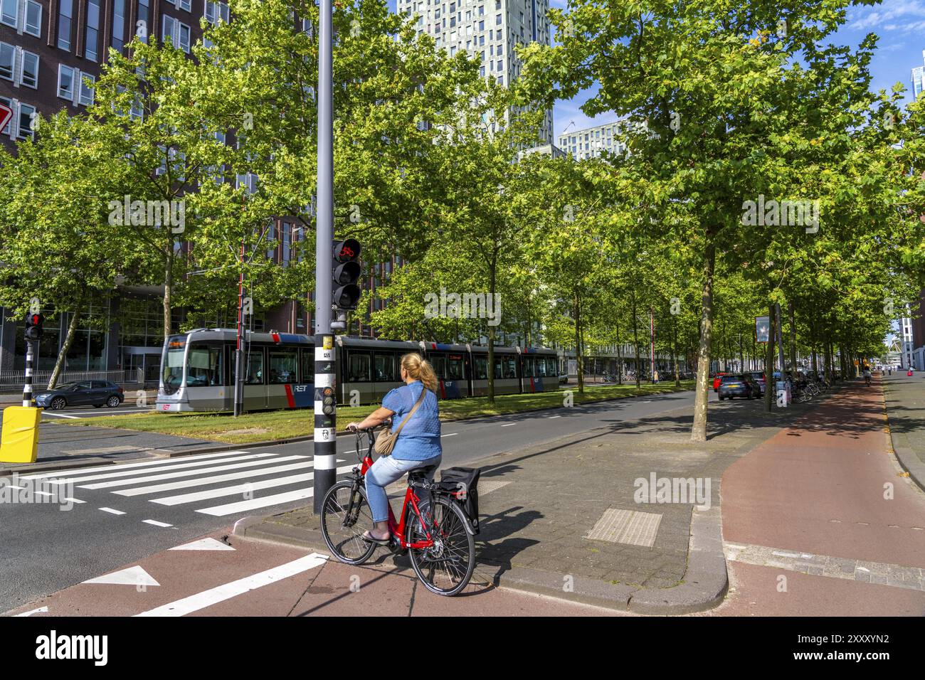 Urban greening, inner-city street Laan op Zuid, in Rotterdam's ...