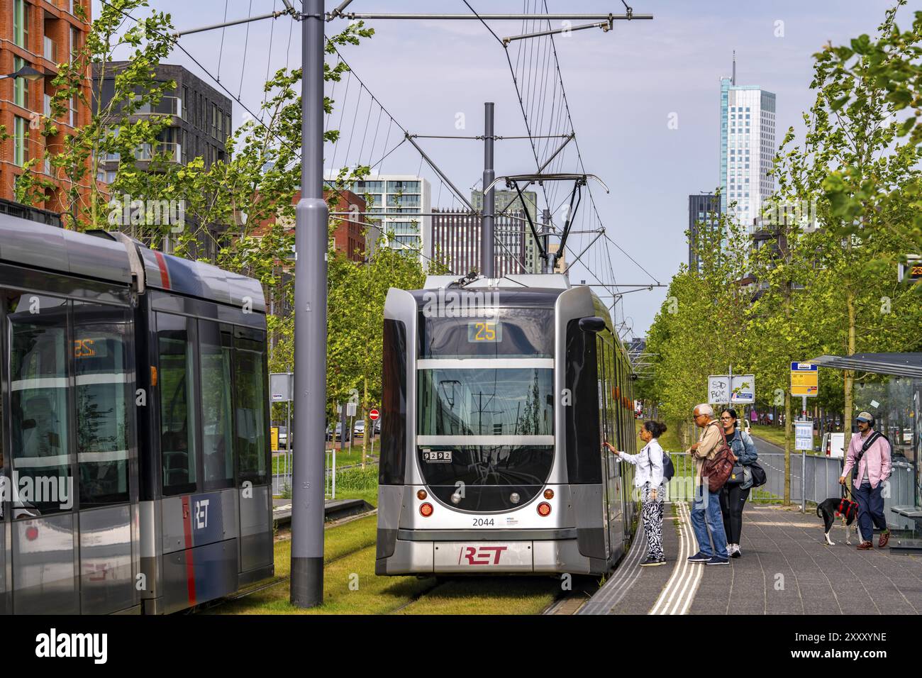 Urban greening, inner-city street Laan op Zuid, in Rotterdam's ...