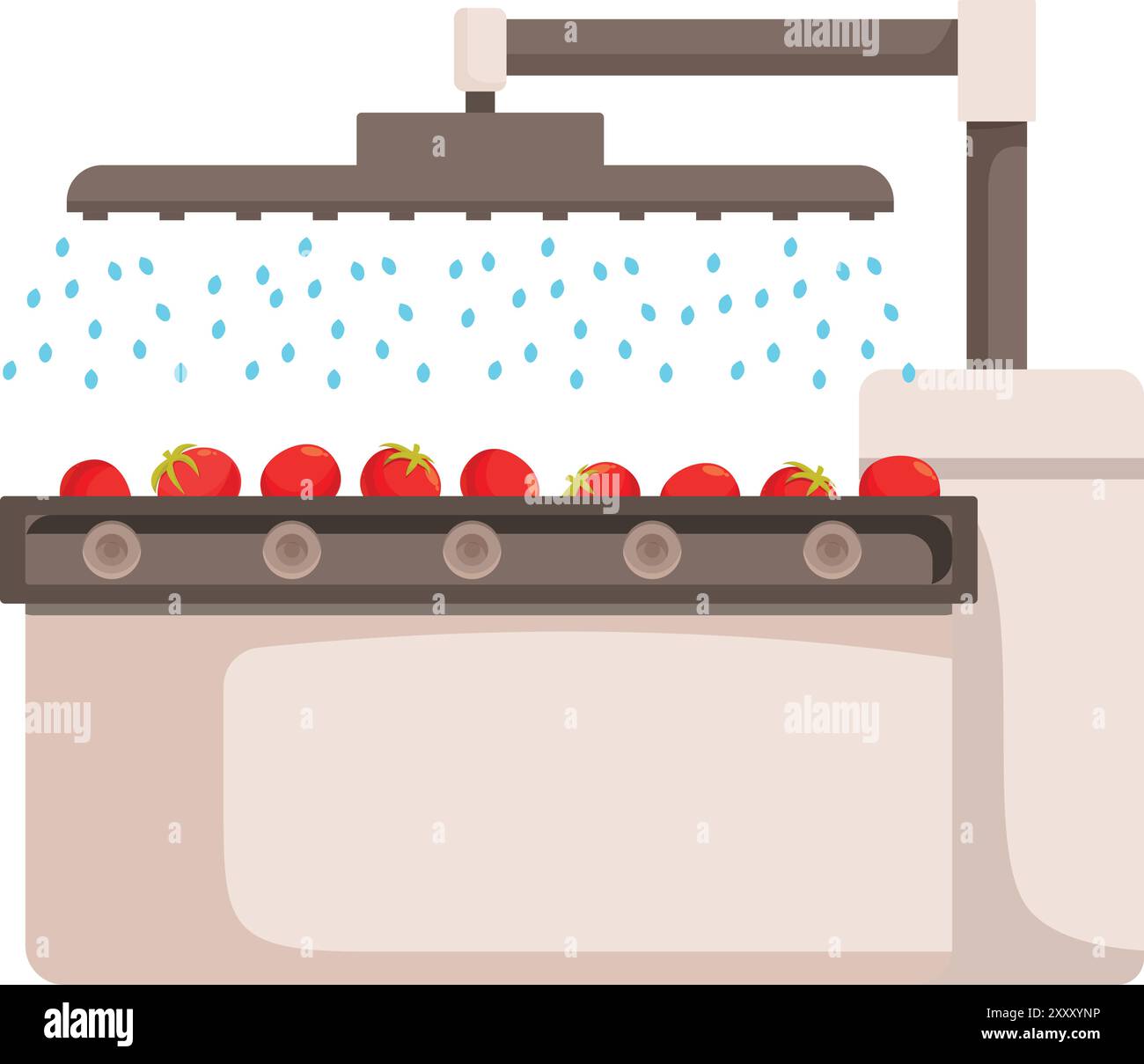Food washing conveyor Cut Out Stock Images & Pictures - Alamy