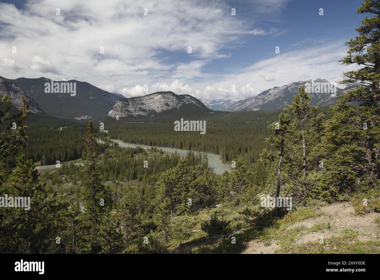 Bow valley near Banff Stock Photo - Alamy