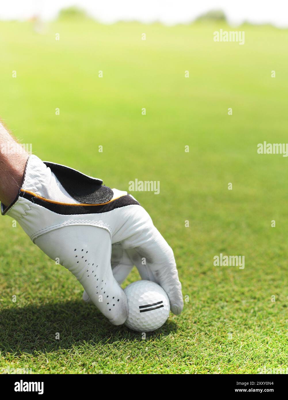 Golf player man holding golf ball in his hand Stock Photo - Alamy