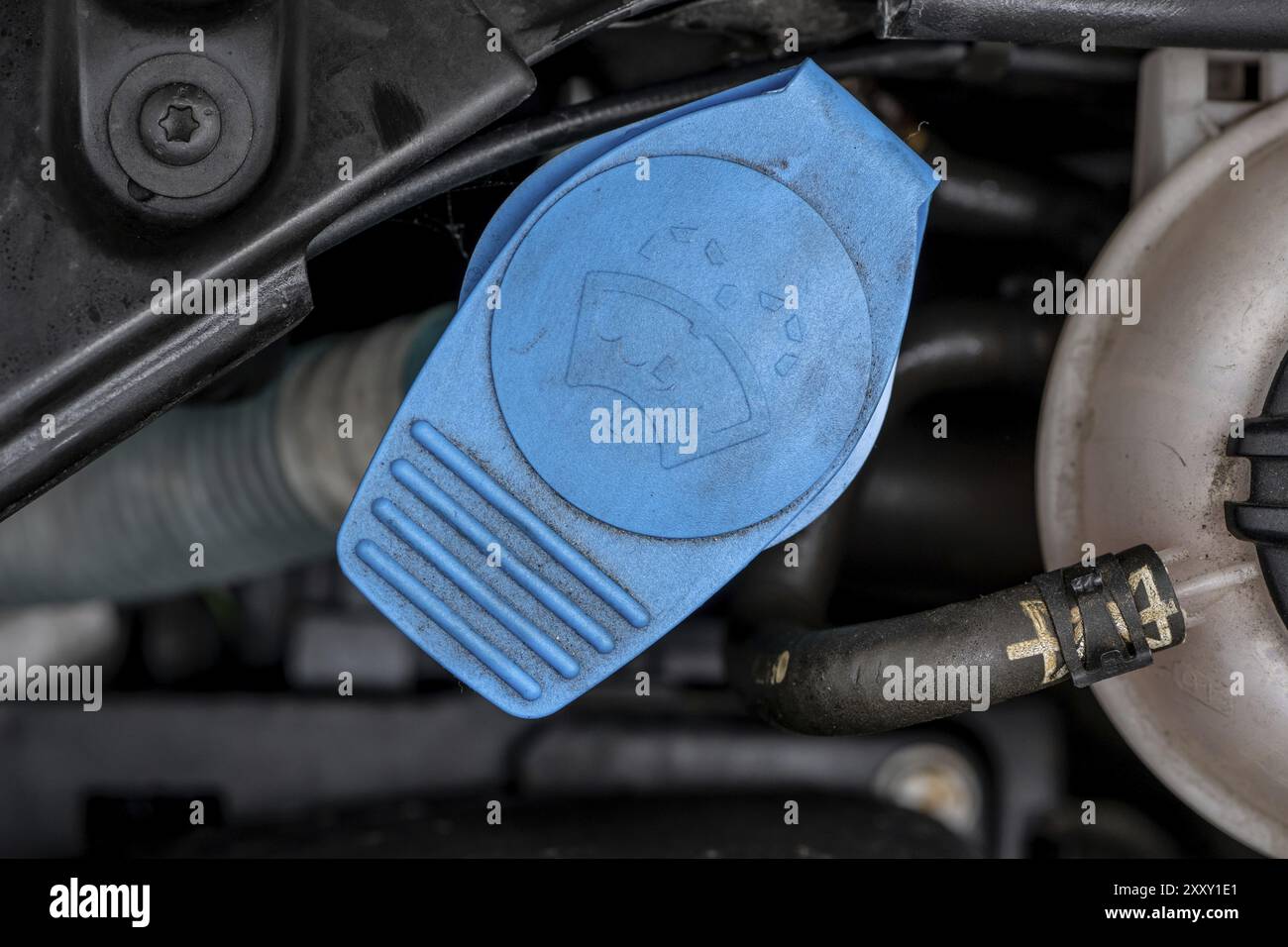 Windscreen wiper fluid filler cap in a car Stock Photo - Alamy