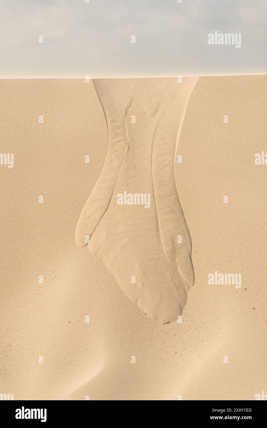 Fine texture and lines of sandy dunes in a desert Stock Photo - Alamy