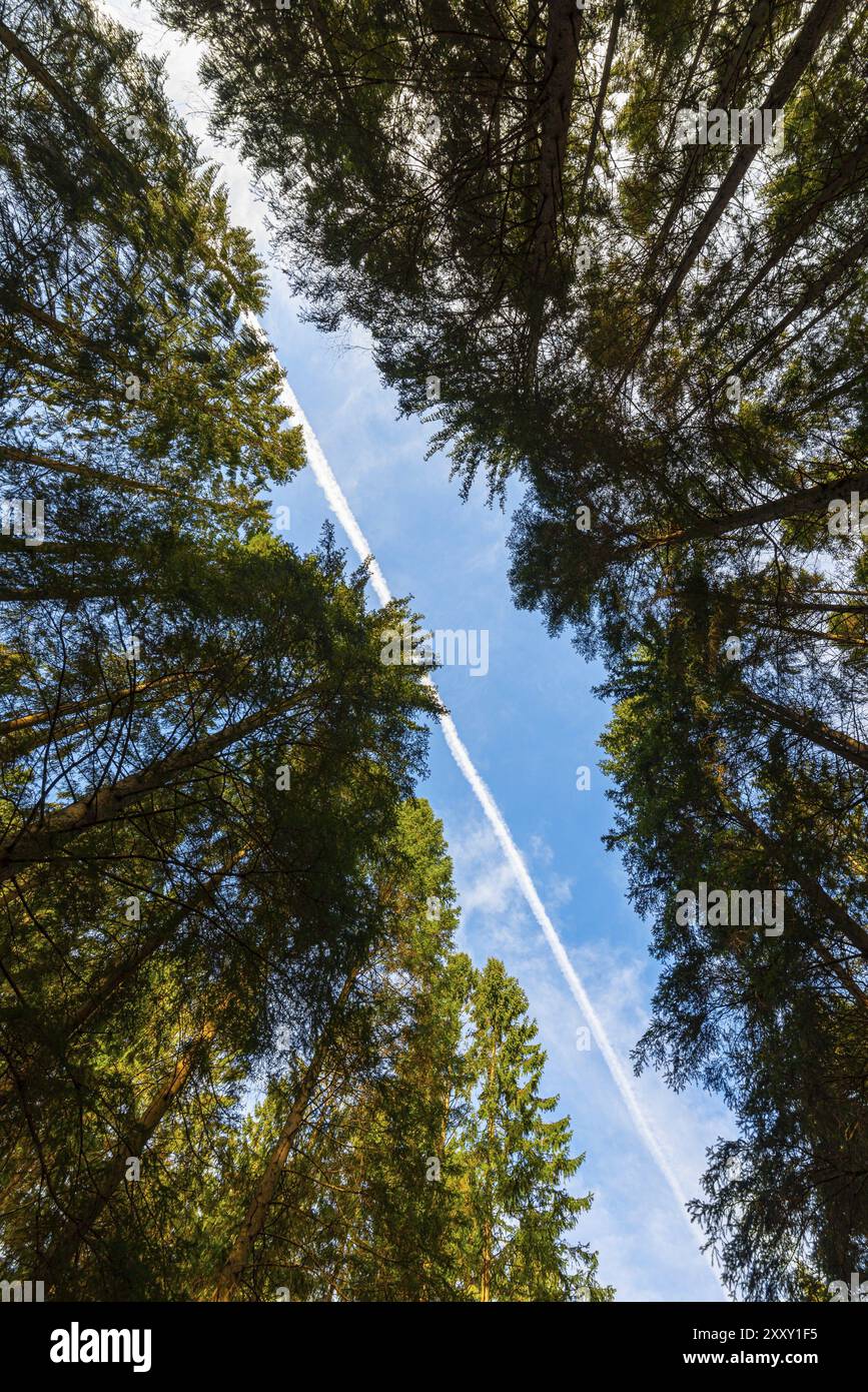 Condensation trails of the airplane hi-res stock photography and images ...
