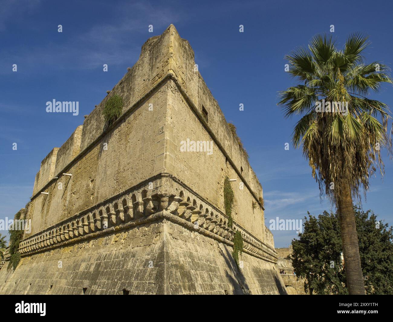 Historic stone wall and a palm tree with a sunny blue sky, Bari ...