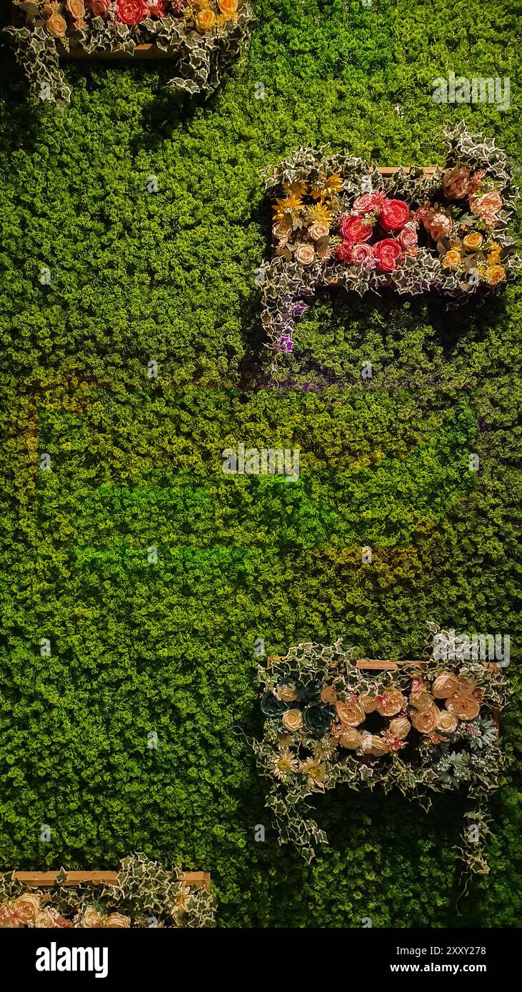 Green Grass Wall background. Portrait photo of green grass wallpaper ...