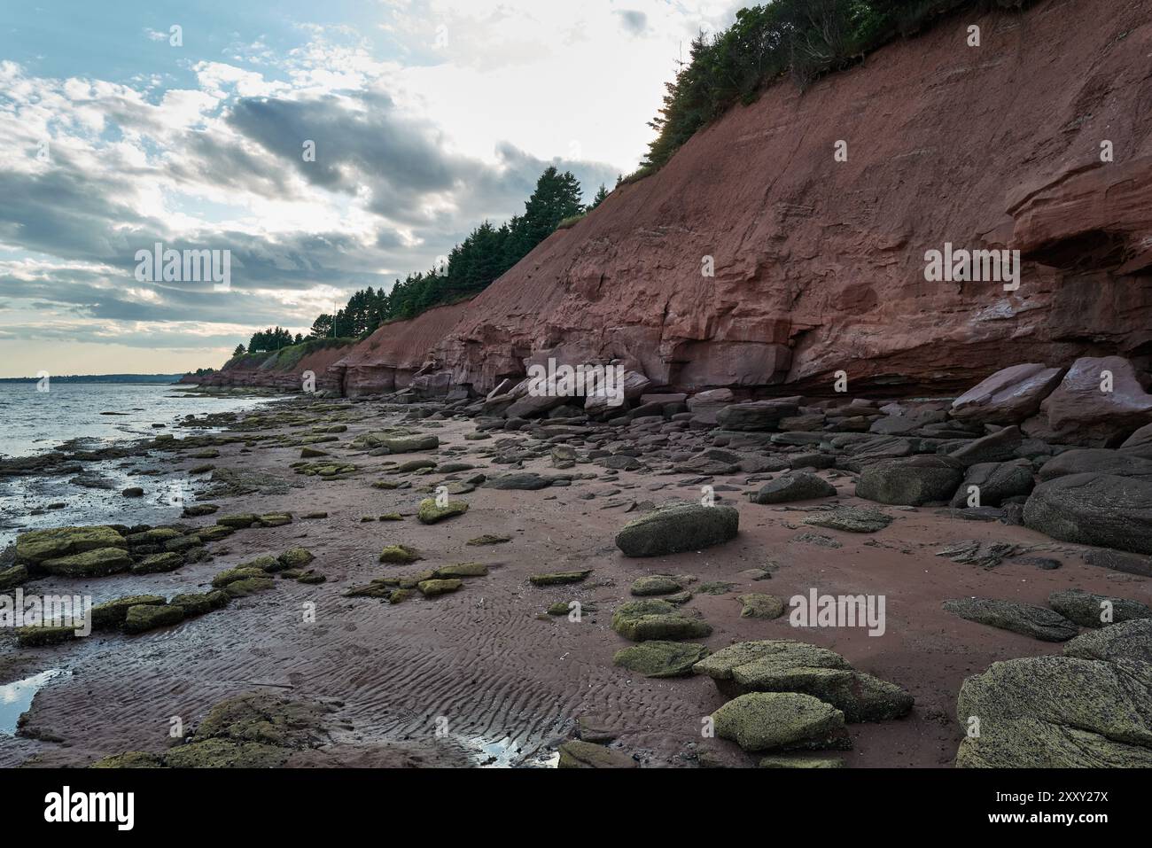 Prince Edward island ocean shoreline Stock Photo - Alamy