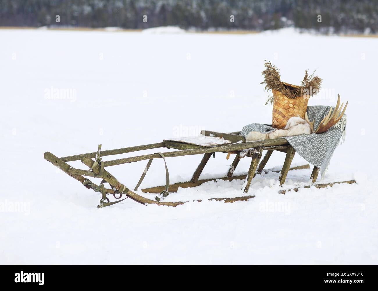 Dog sleigh old hi-res stock photography and images - Alamy