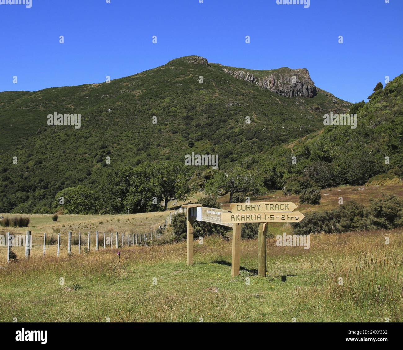 Scene on the Banks Peninsula, New Zealand. Curry Track, hiking route in ...