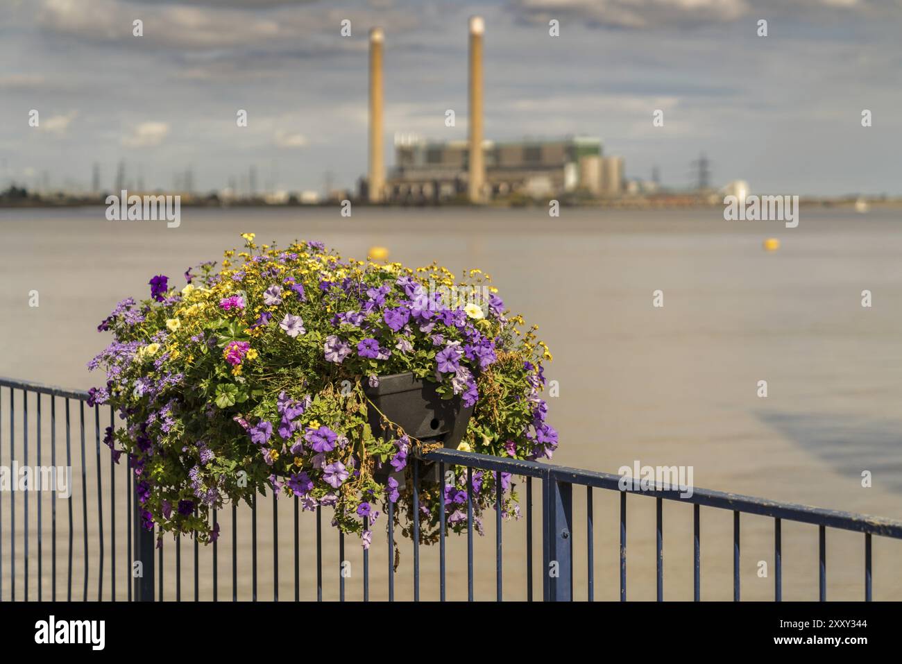 The shore of the River Thames in Gravesend, Kent, England, UK, with a ...