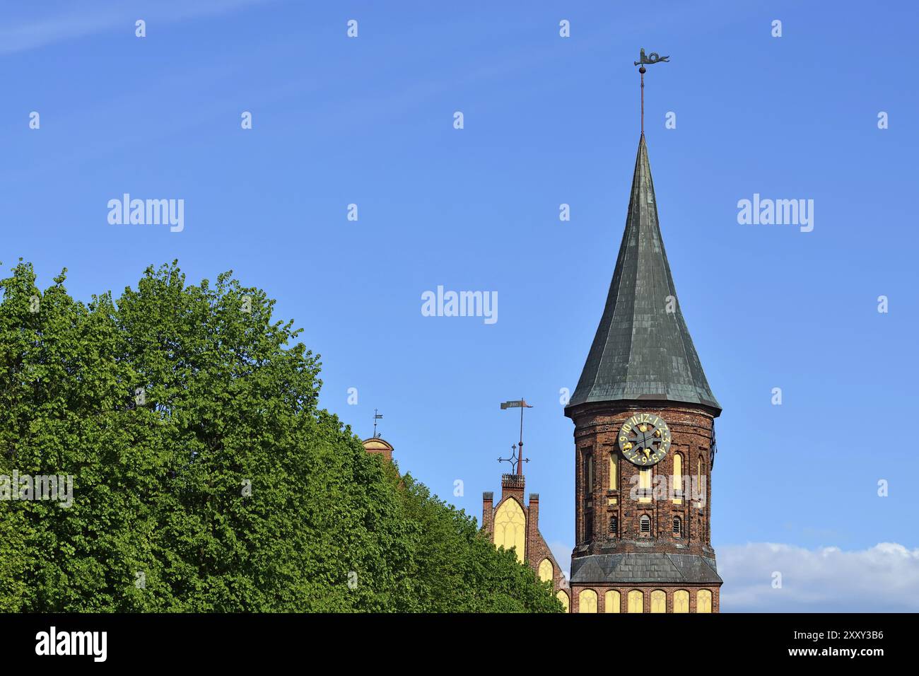 Tower of the Koenigsberg Cathedral. Gothic 14th century. Symbol of the ...