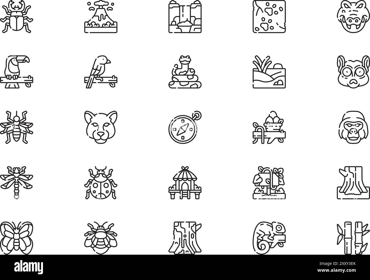 Rainforest icons collection is a vector illustration with editable ...