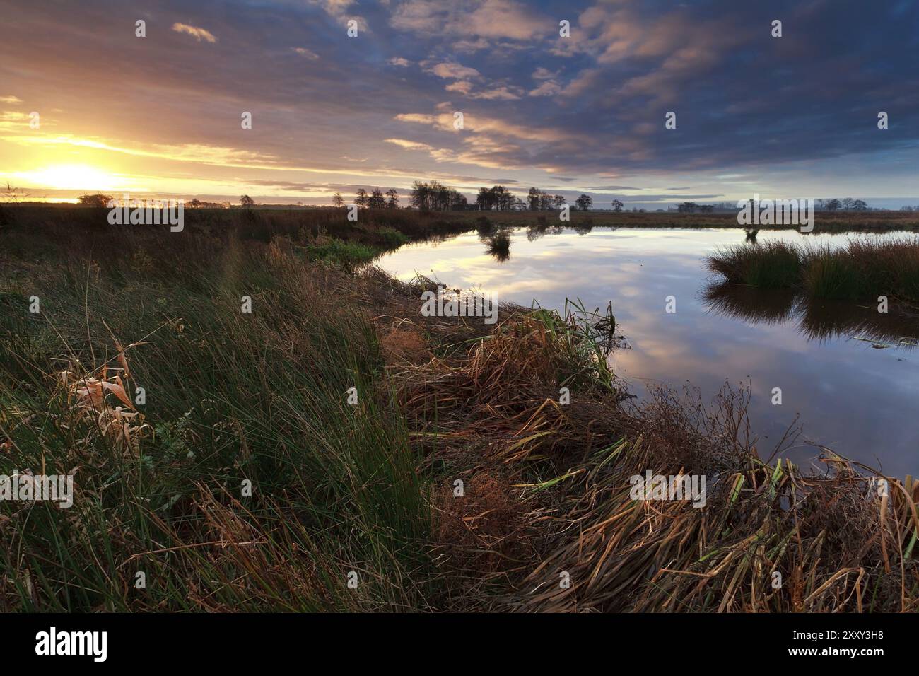 Gold sunrise over wild river, Onlanden, Drenthe, Netherlands Stock ...