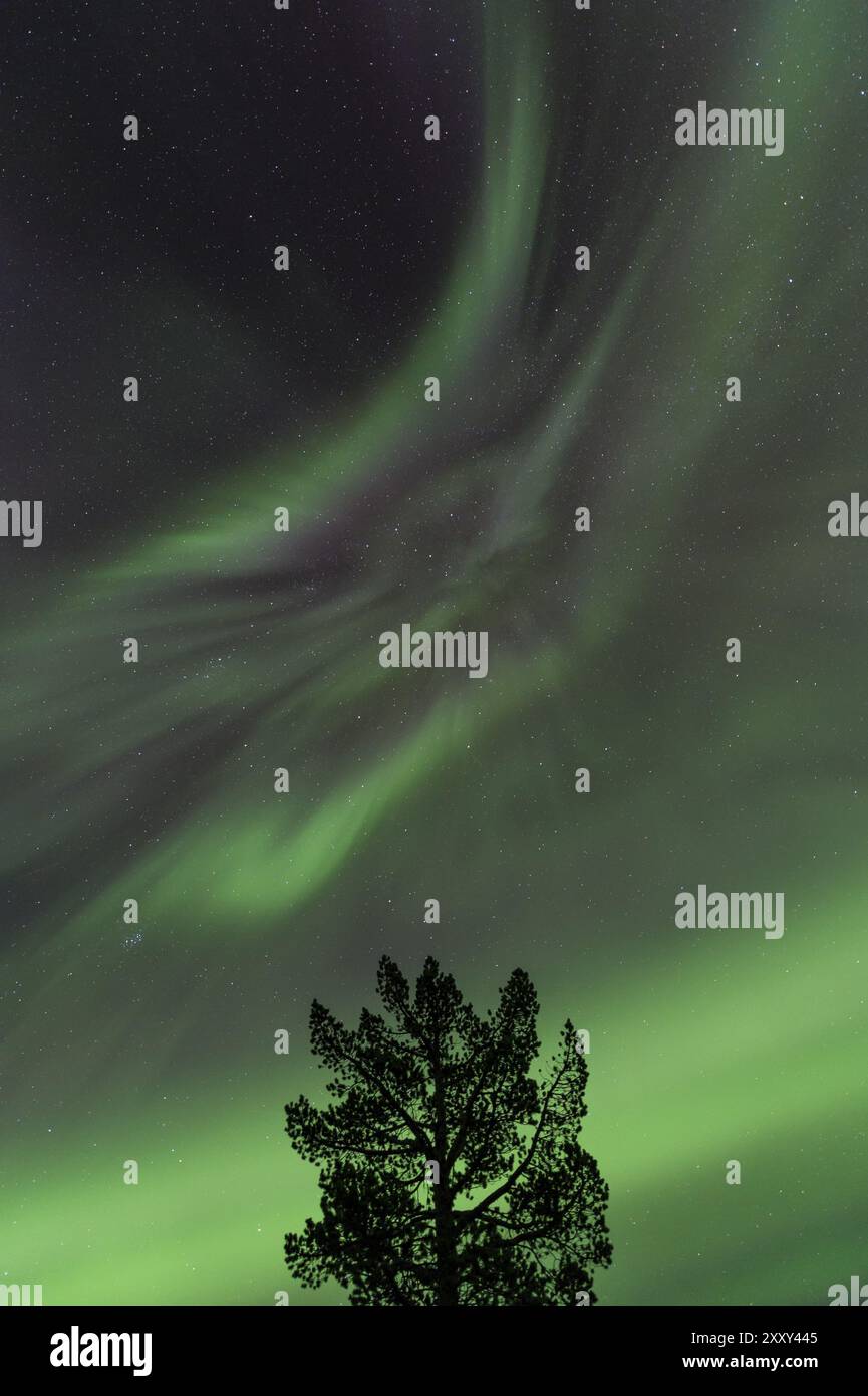 Northern lights (Aurora borealis), Gaellivare, Norrbotten, Lapland ...