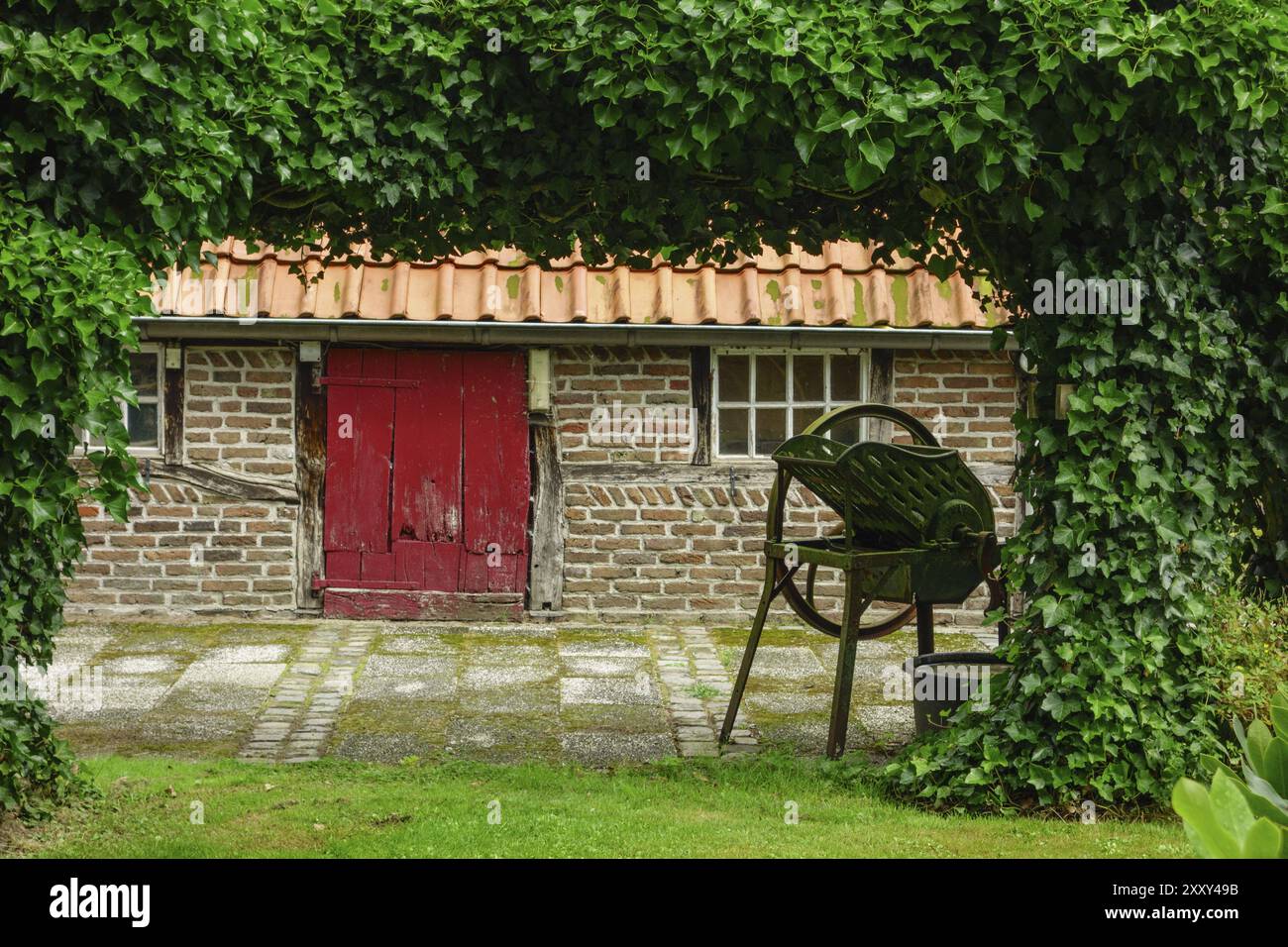 Ivy-covered gate leads to a brick house with a red entrance gate ...