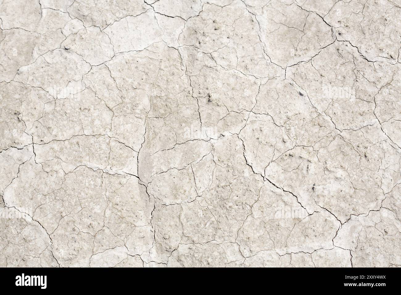 Bed dried out creek hi-res stock photography and images - Alamy