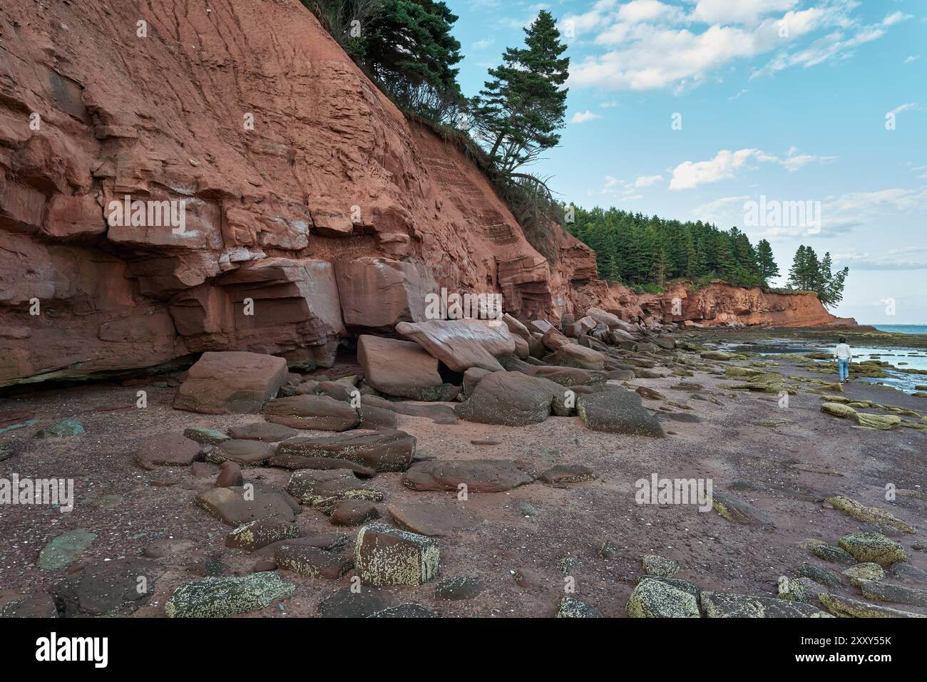 Prince Edward island ocean shoreline Stock Photo - Alamy