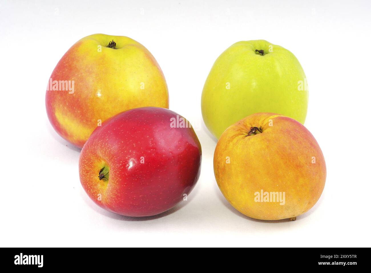 4 different varieties of apples on a white background Stock Photo - Alamy