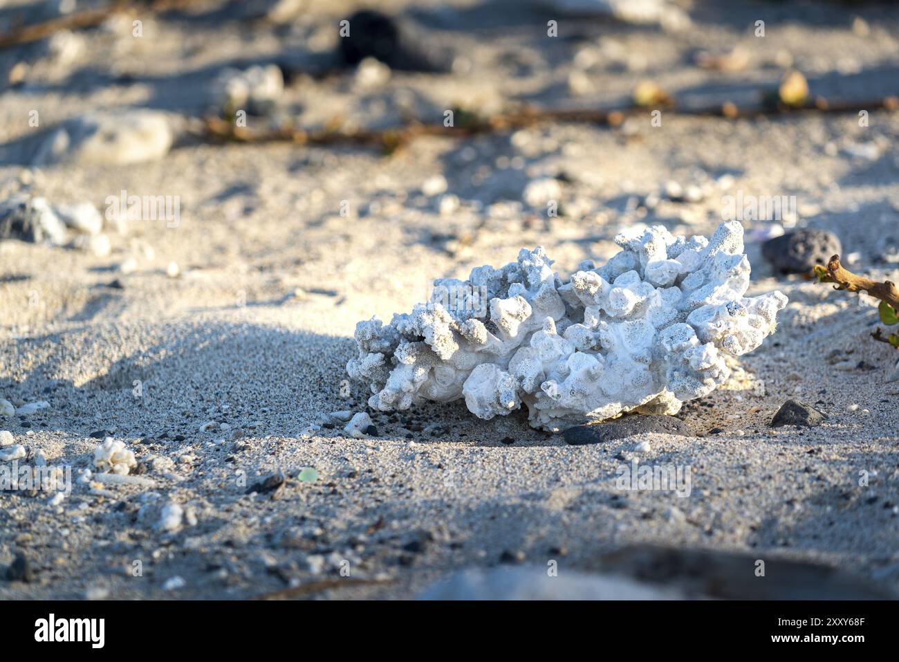 Reunion island people on the beach hi-res stock photography and images ...